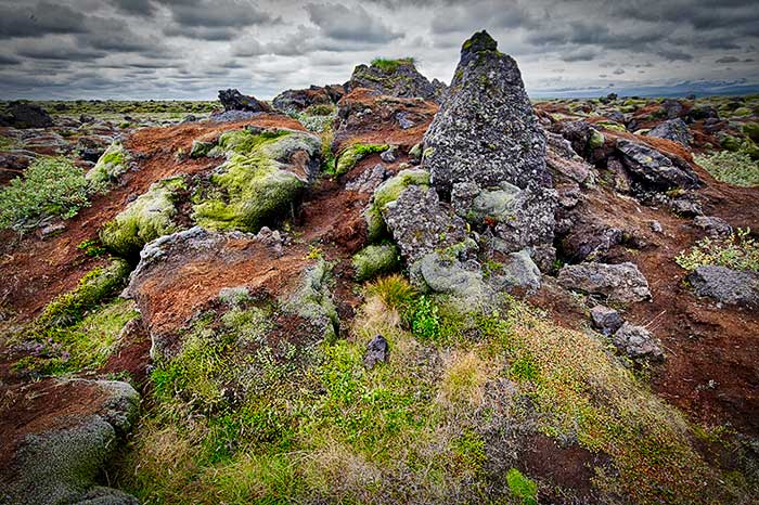 Lava Field - Rich Green Photography